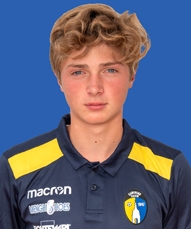 Rosa Real Cameranese